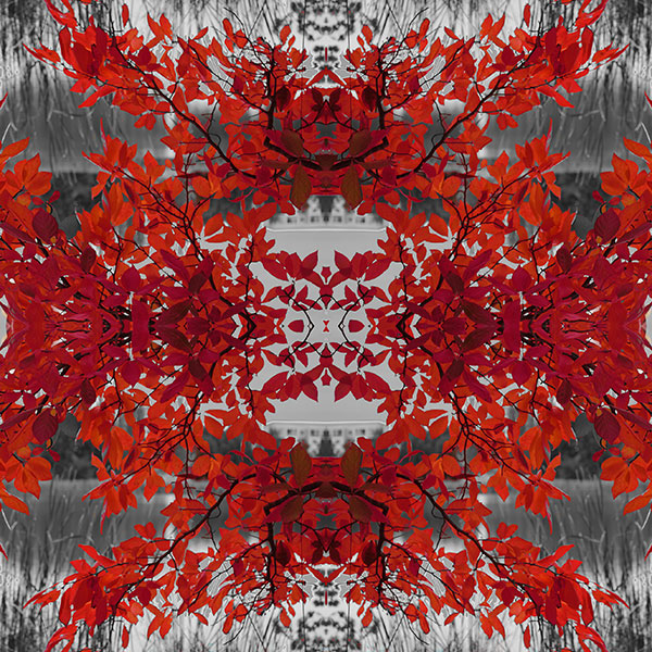 Loop Scarf in Red Leaves Print – Zilpah Tart